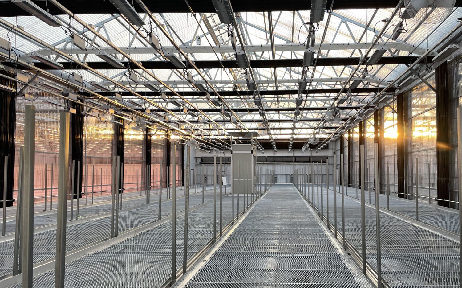 central MI cannabis | Atlas Greenhouse