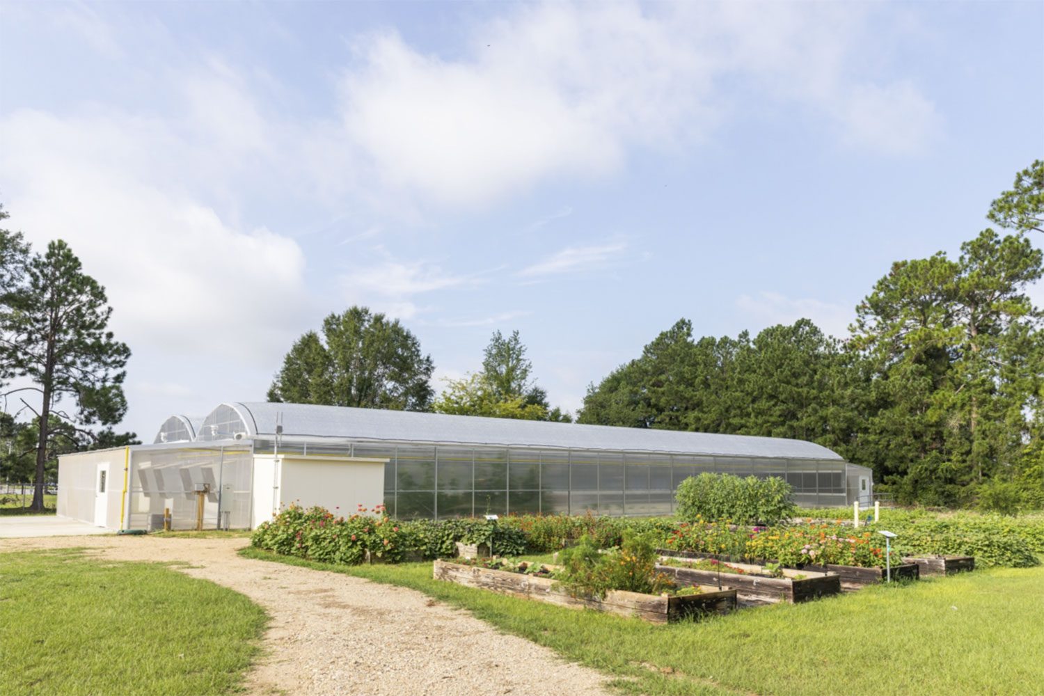 Commodore Conyers College & Career (4C) Academy | Atlas Greenhouse